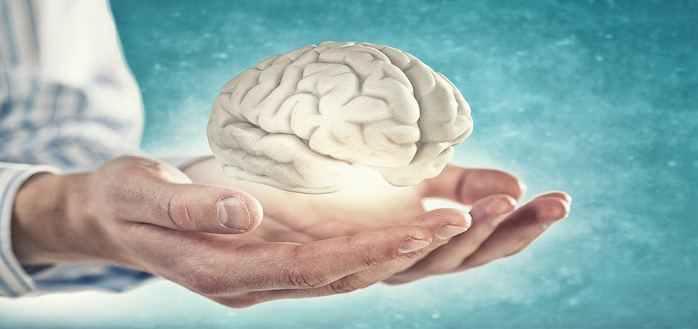 The Learning Brain – Professional Coaching I Personal Development